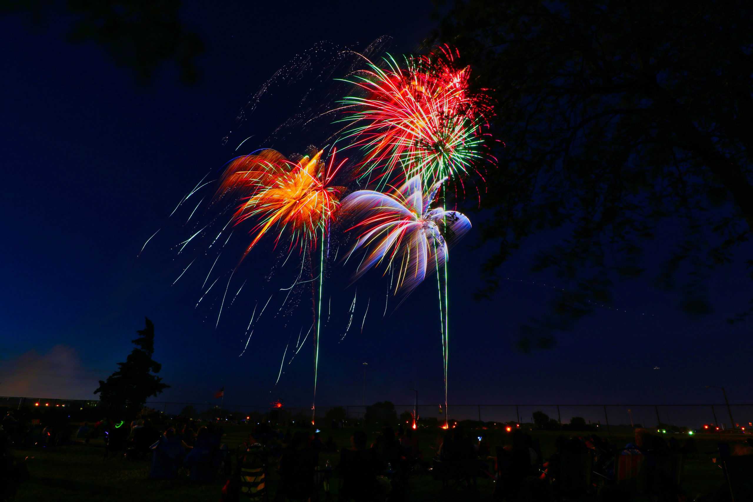 Pyrotechnic records and interesting facts - Firework Safety
